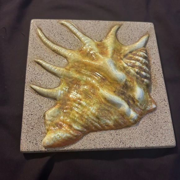 unbranded | Wall Decor | Rare 3d Conch Shell Wall Decor | Poshmark